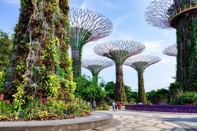 Biomimicry in Architecture: 7 Real-World Examples of Nature-Inspired ...