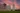the leaning tower of pisa | Learn Architecture Online